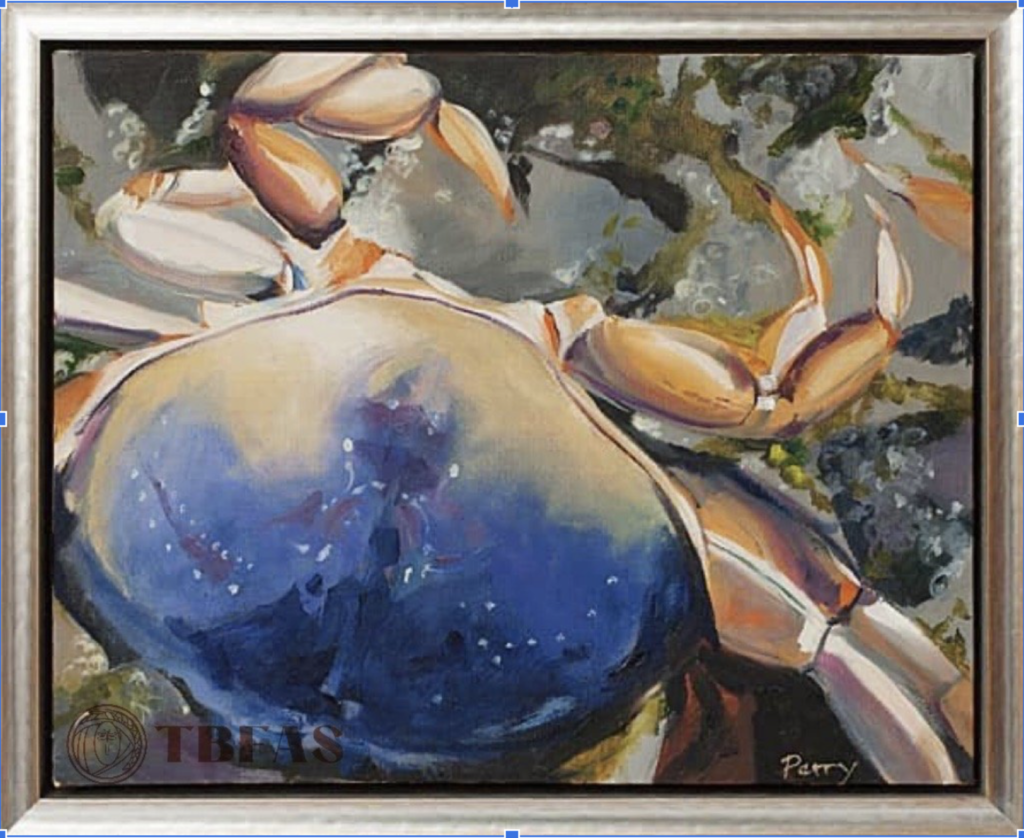 Blue Is For Boys - TBFAS